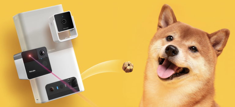 Petcube secures $10M in Series A to keep people connected to their pets ...